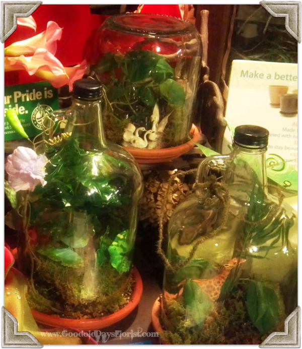 Bottle Terrarium - Good Old Days Florist